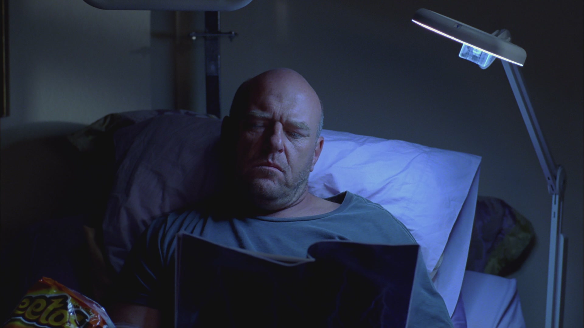 Breaking Bad - Gale Boetticher - Lab Notes